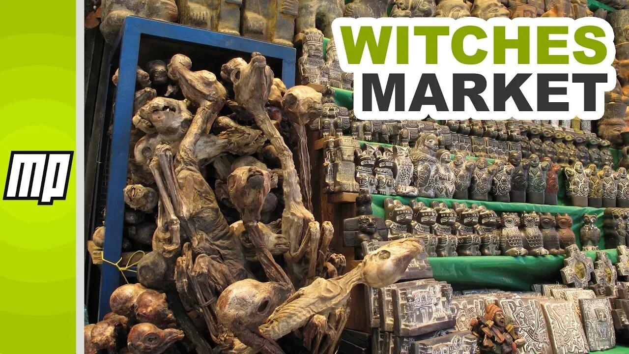 Witch Doctor Woo - One News Page VIDEO