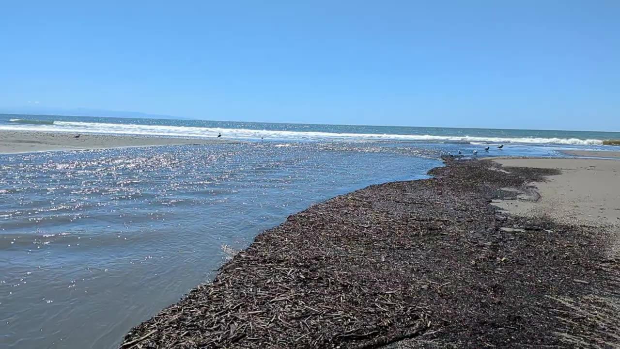 Rain Runs to the Monterey Bay - One News Page VIDEO