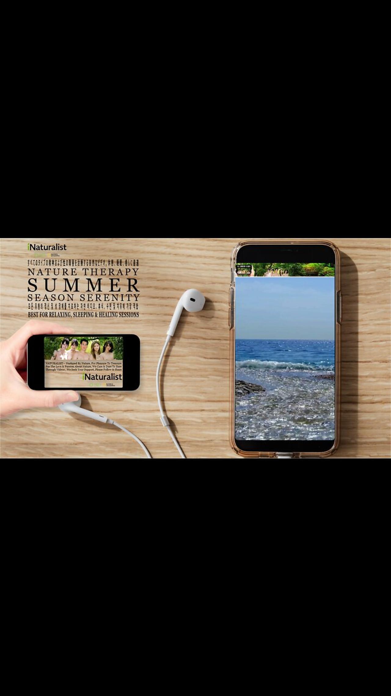 Nature ASMR Cure-All Zen Sound Therapy | Video - One News Page VIDEO