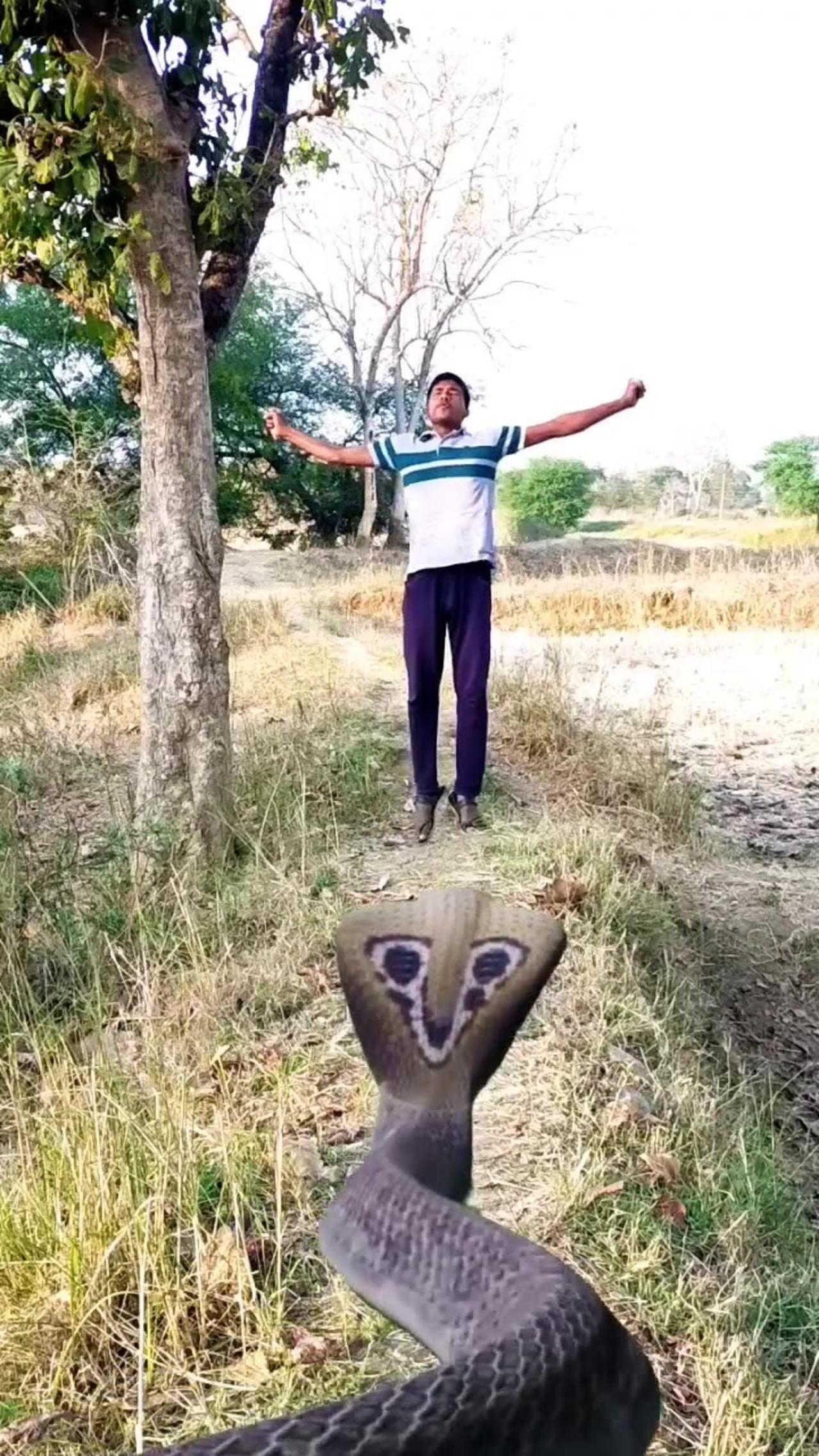 big snake vs man & Hulk vfx funny - One News Page VIDEO