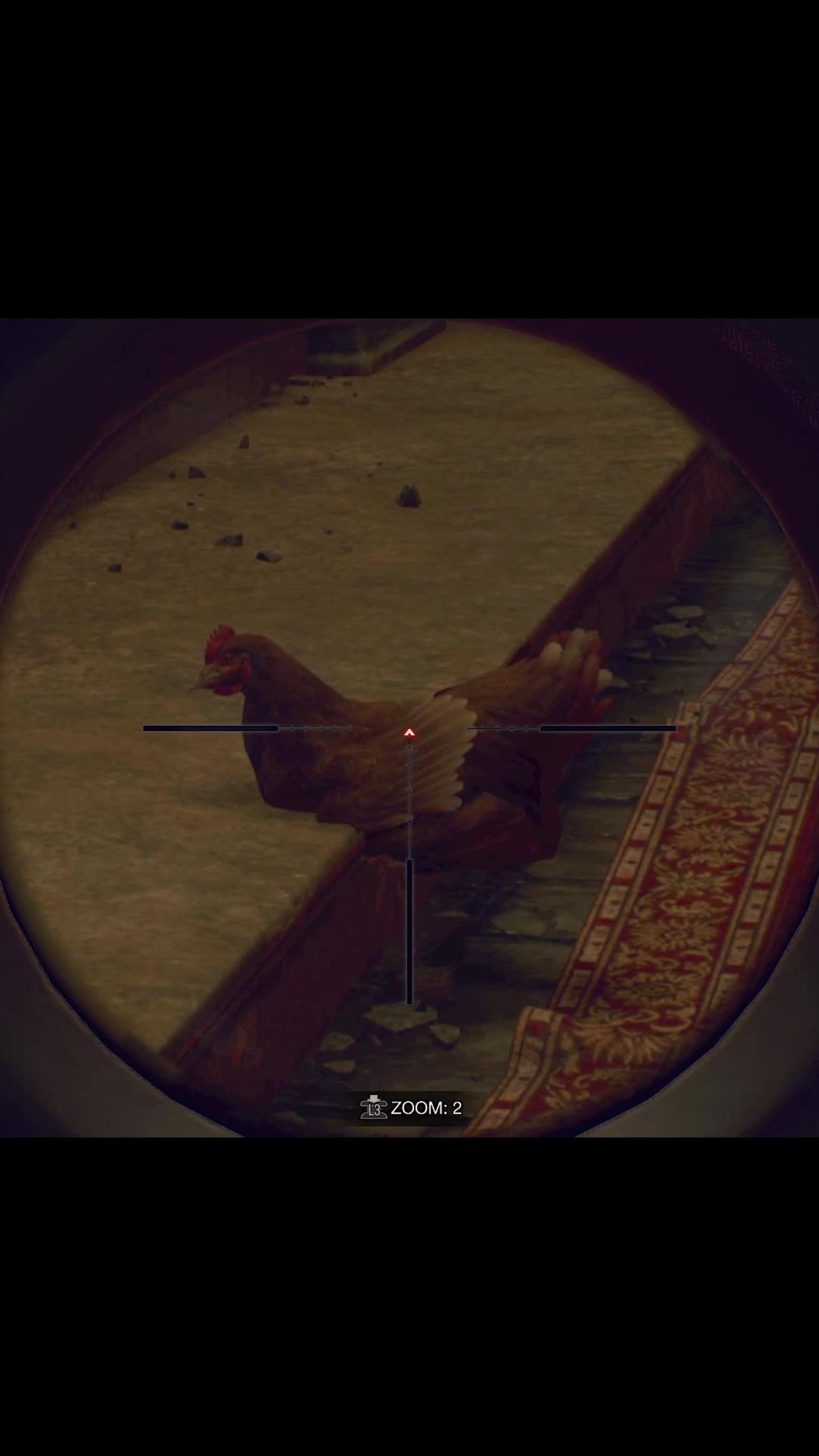 Helping A Chicken Lay An Egg Faster Resident One News Page Video