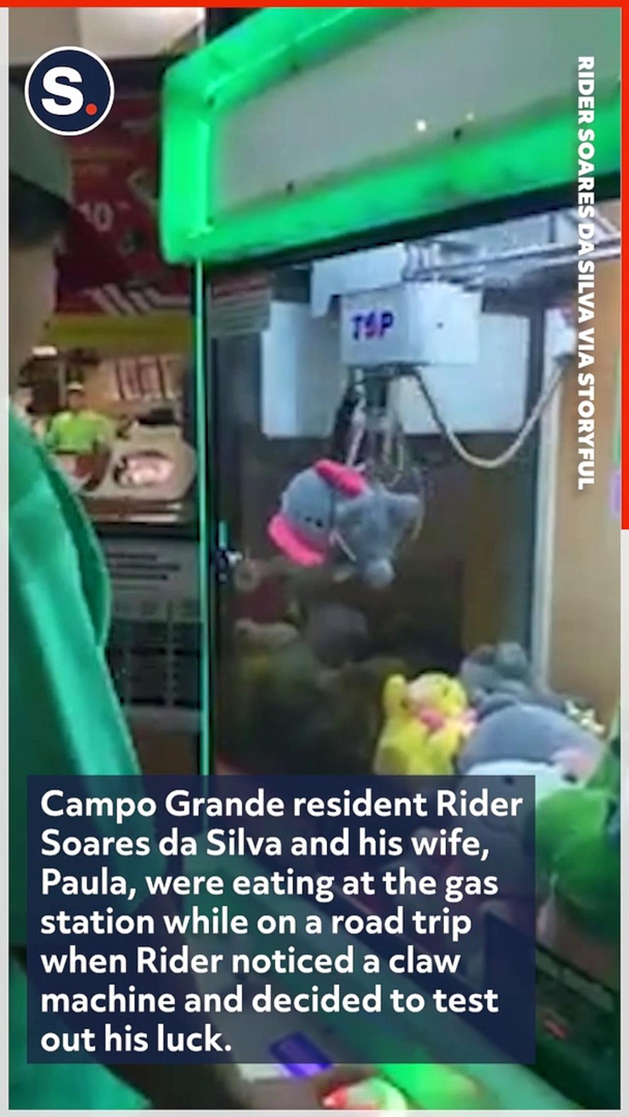 Cat Climbs Out of Claw Machine After Man Wins - One News Page VIDEO