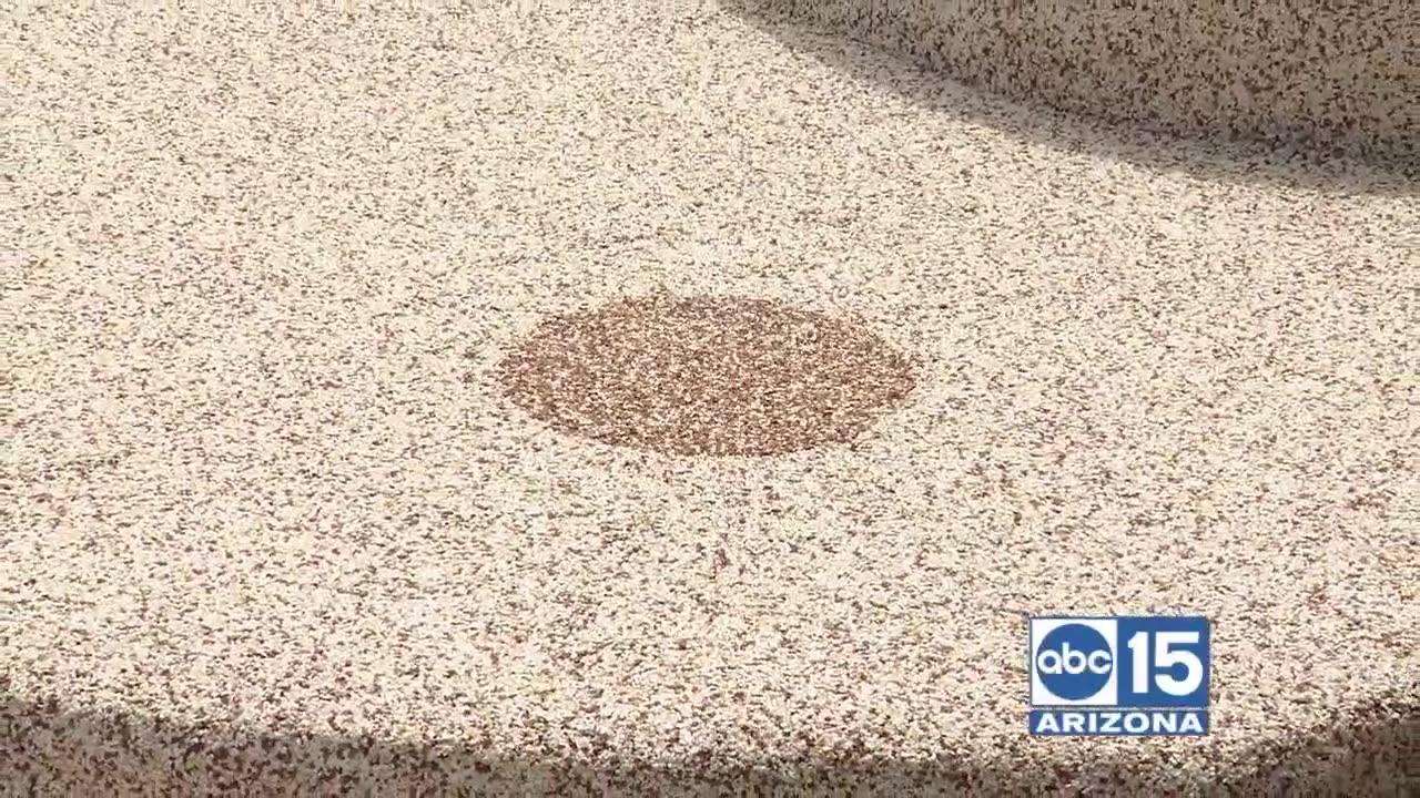 Turn your backyard into an outdoor oasis with - One News Page VIDEO