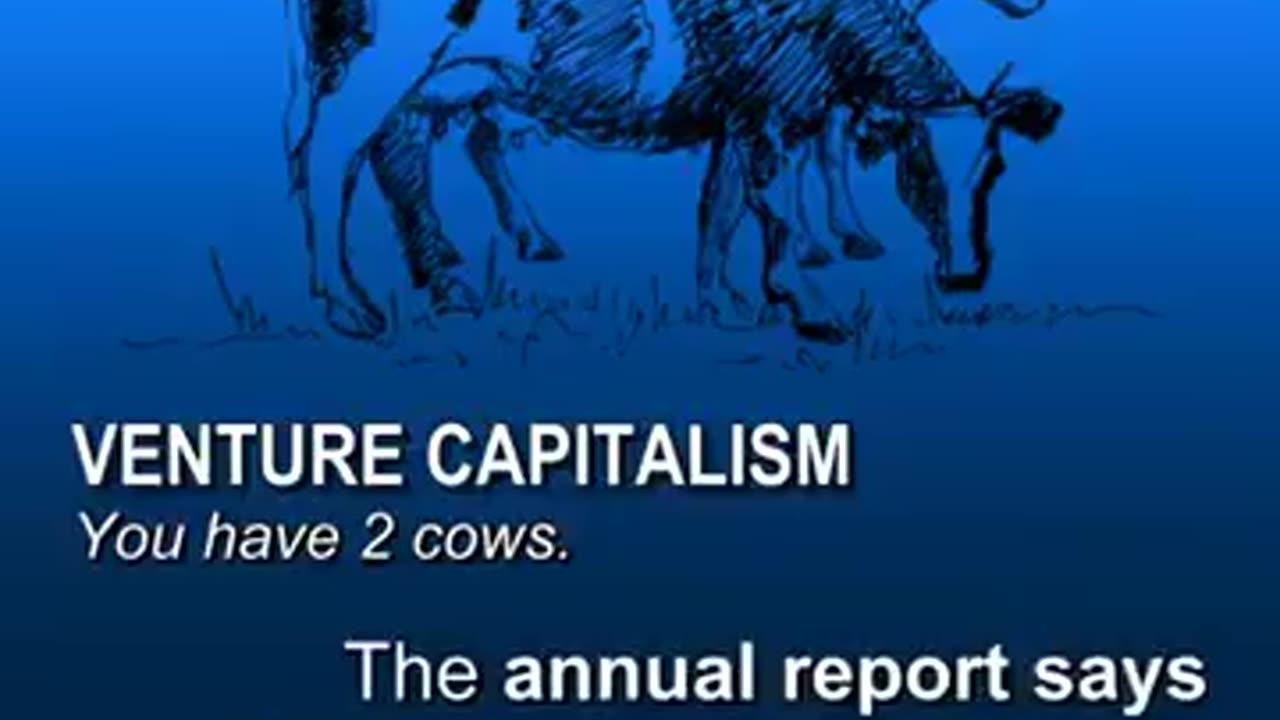 Economics explained - Cows - One News Page VIDEO