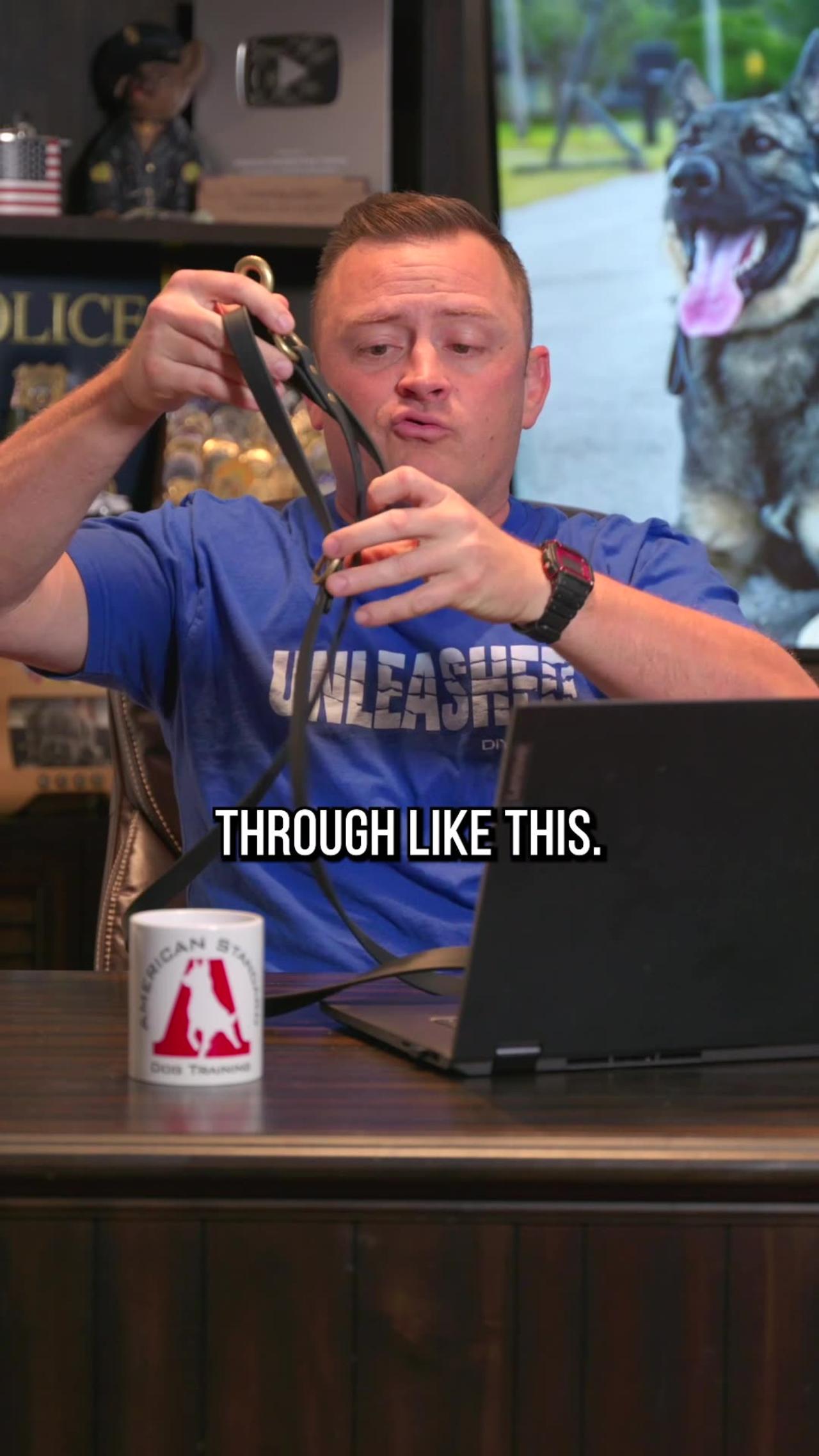 How to Break Up a Dog Fight - One News Page VIDEO