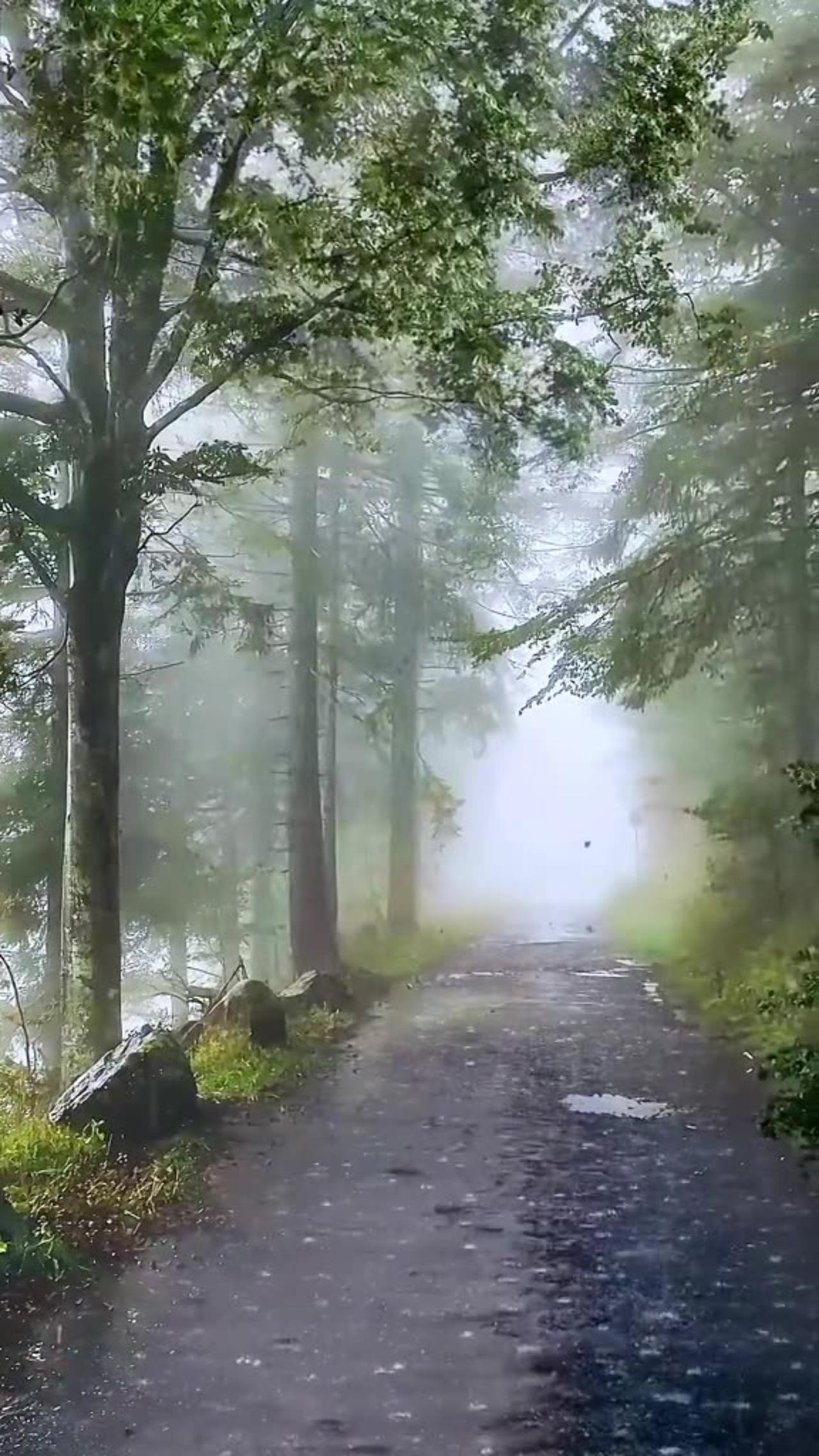 The raining is still here in my village - One News Page VIDEO