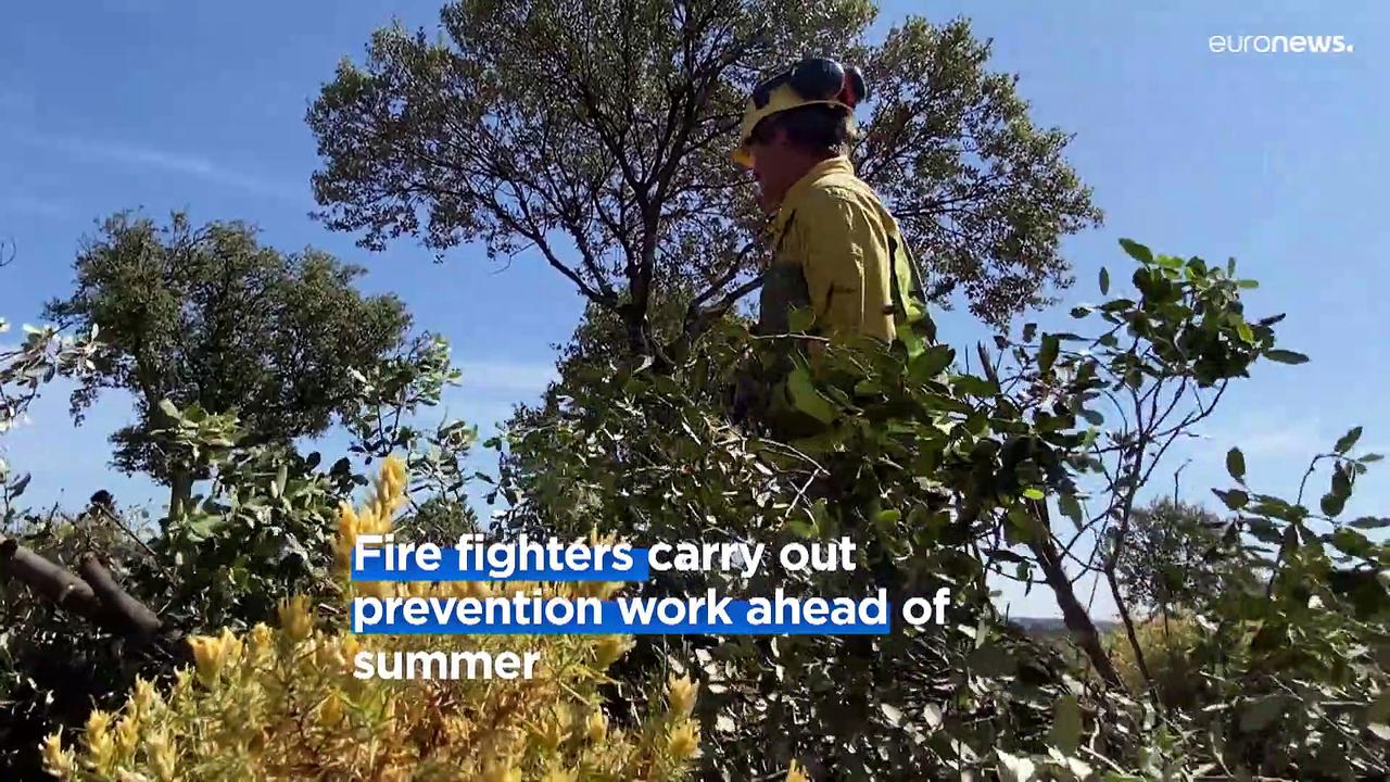 Spanish firefighters braced for wildfire season - One News Page VIDEO