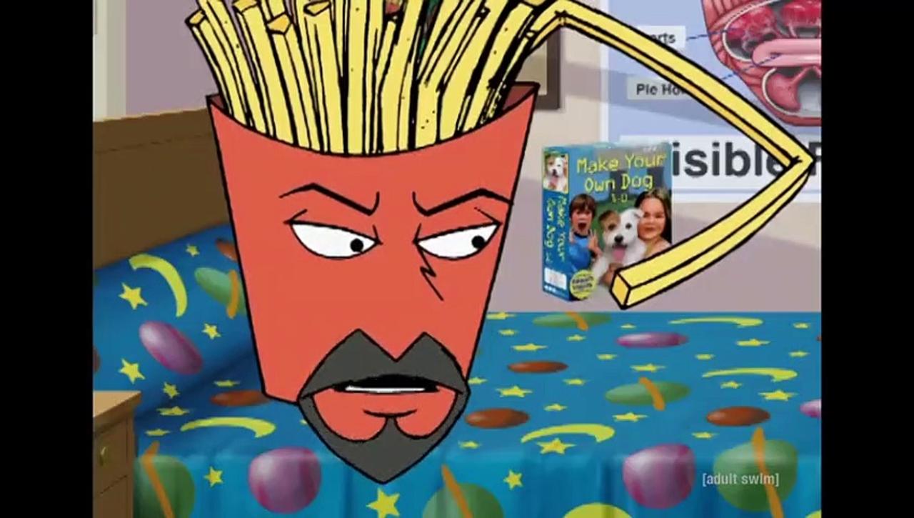 Aqua Teen Hunger Force - Frylock and Meatwad - One News Page VIDEO