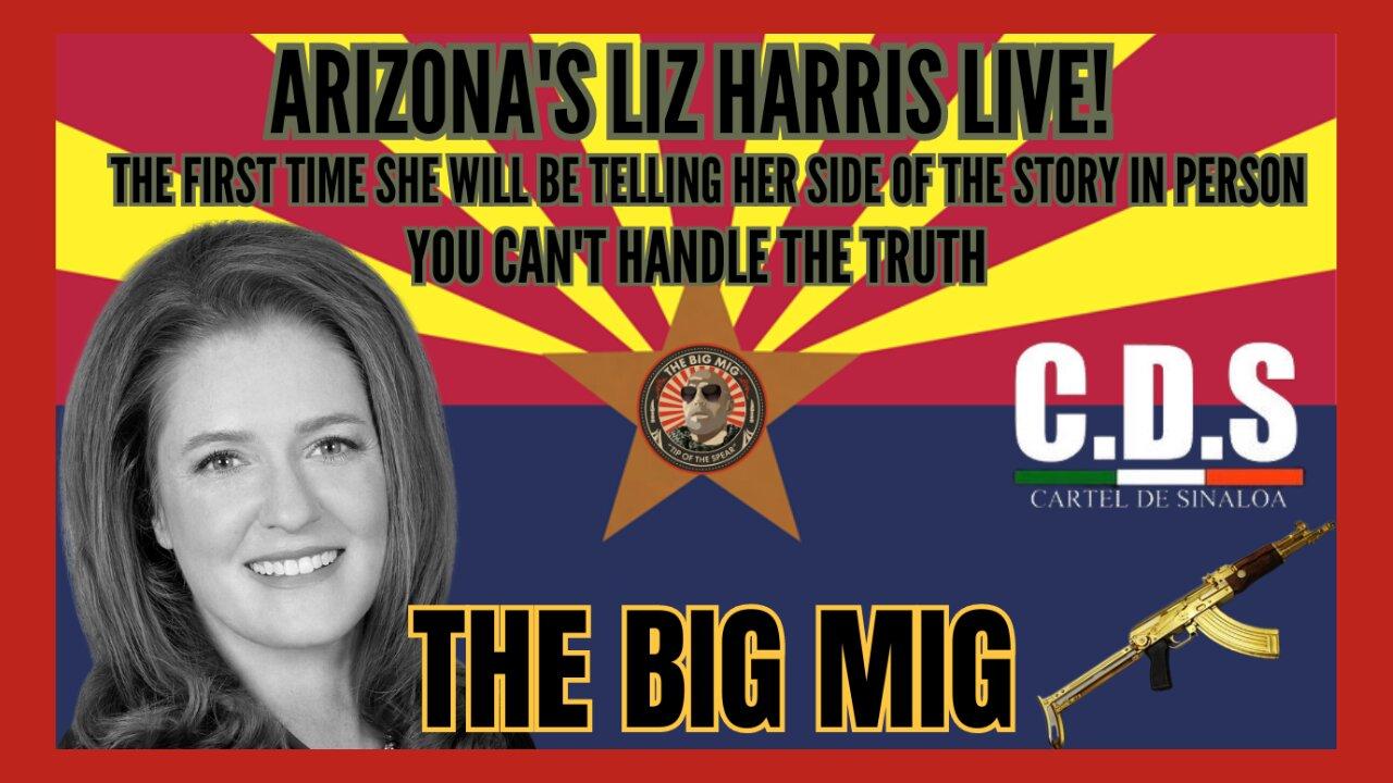 FINALLY THE TRUTH: OUSTED AZ REP LIZ HARRIS - One News Page VIDEO