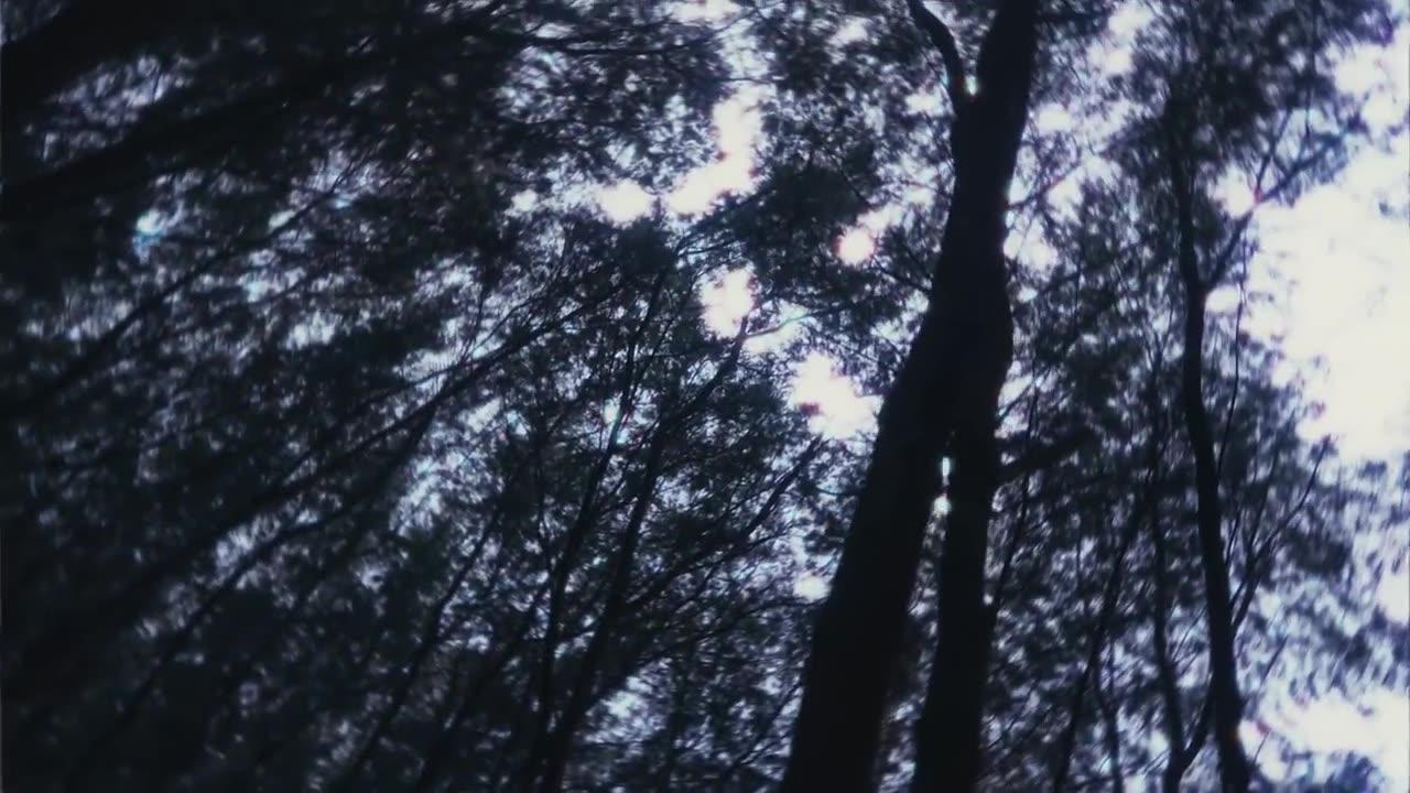 Obsessed - Riar Saab Official Music Video - One News Page VIDEO