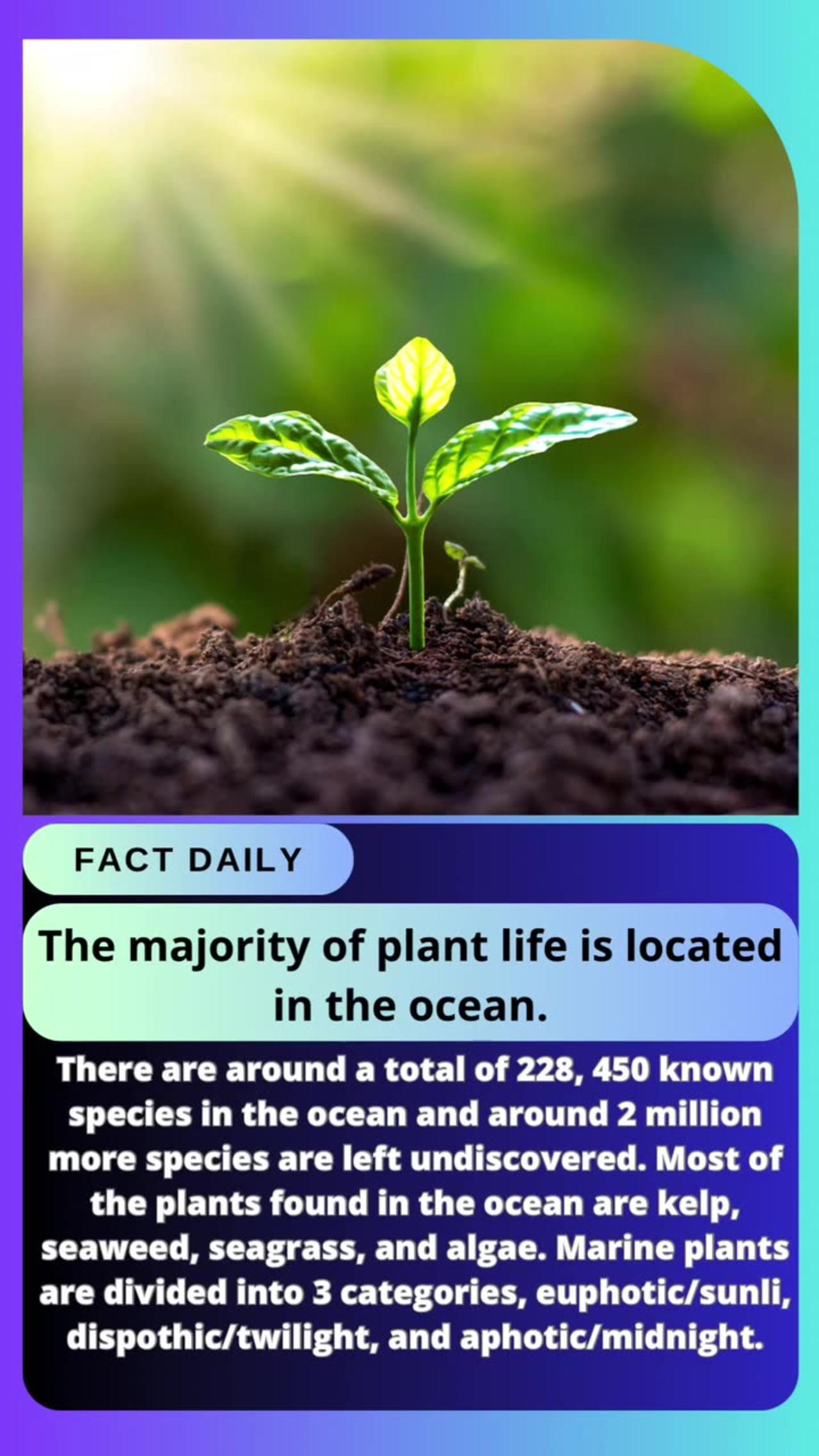 5 Facts Daily, You Must Know!!! - One News Page VIDEO