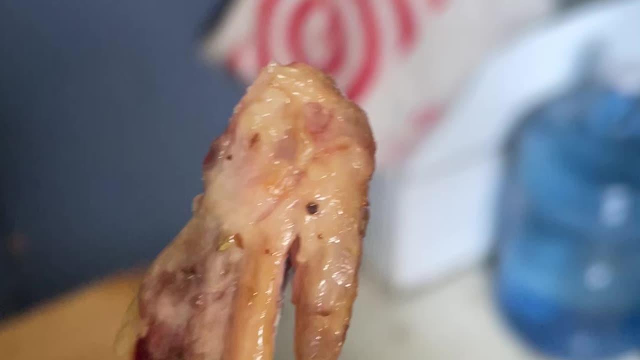 Watch this bird beg for chicken in the cutest - One News Page VIDEO