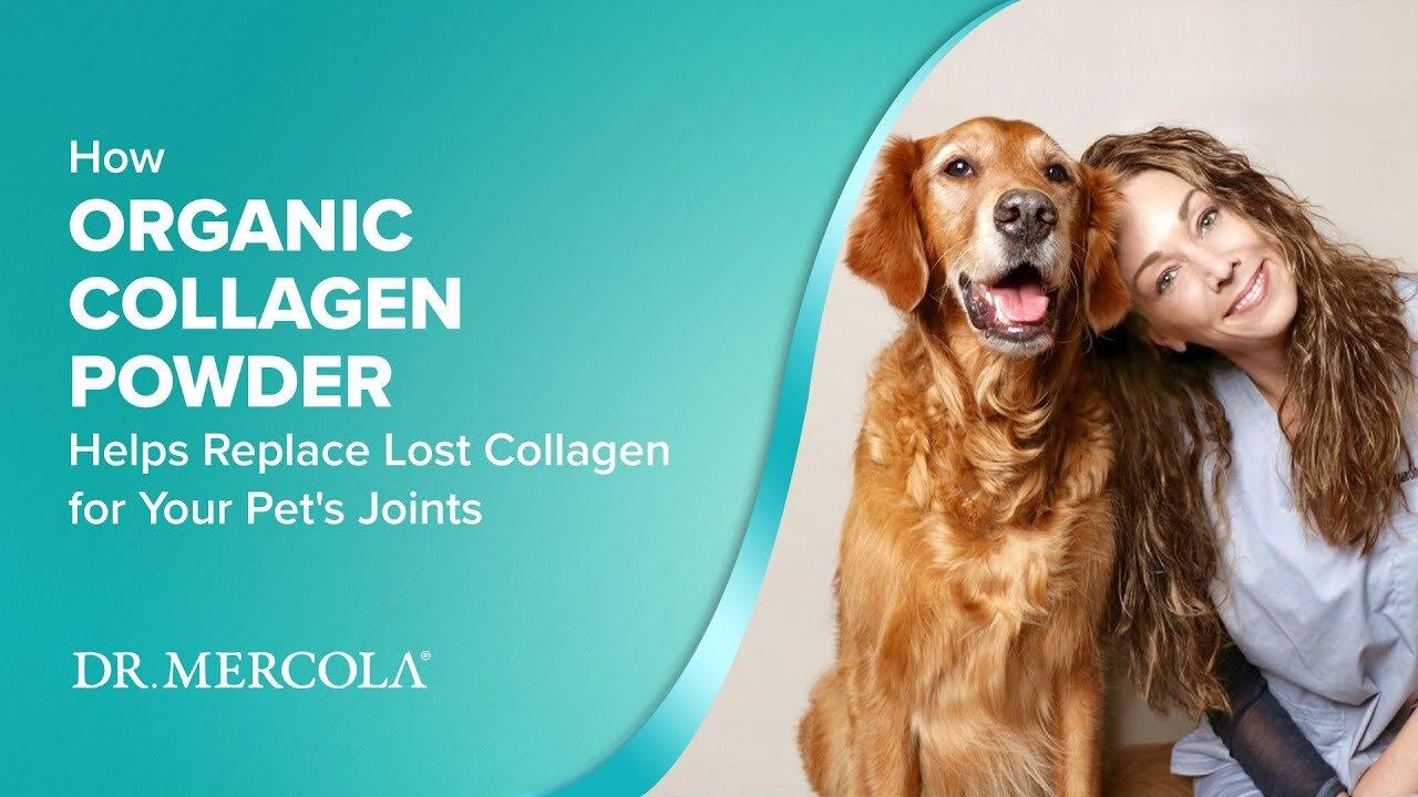 How ORGANIC COLLAGEN POWDER Helps Replace Lost - One News Page VIDEO