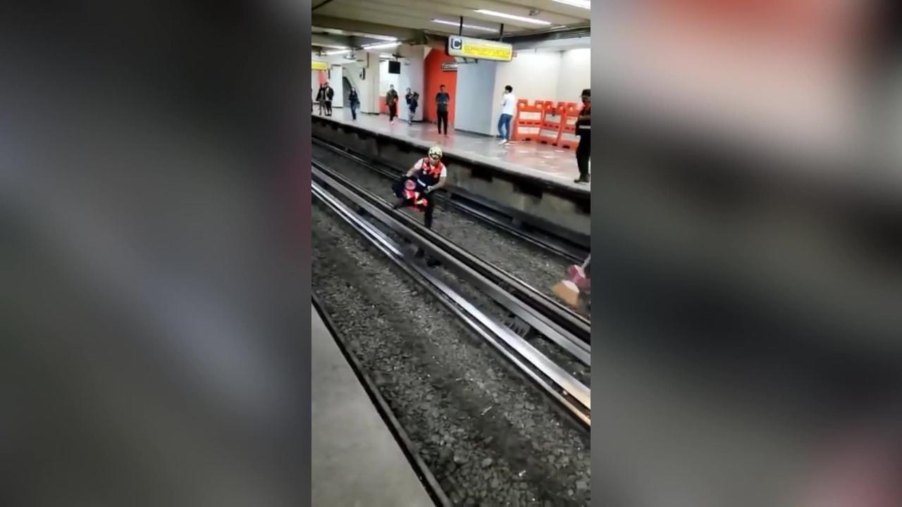 Chicken Playing Chicken With Underground Brings - One News Page VIDEO