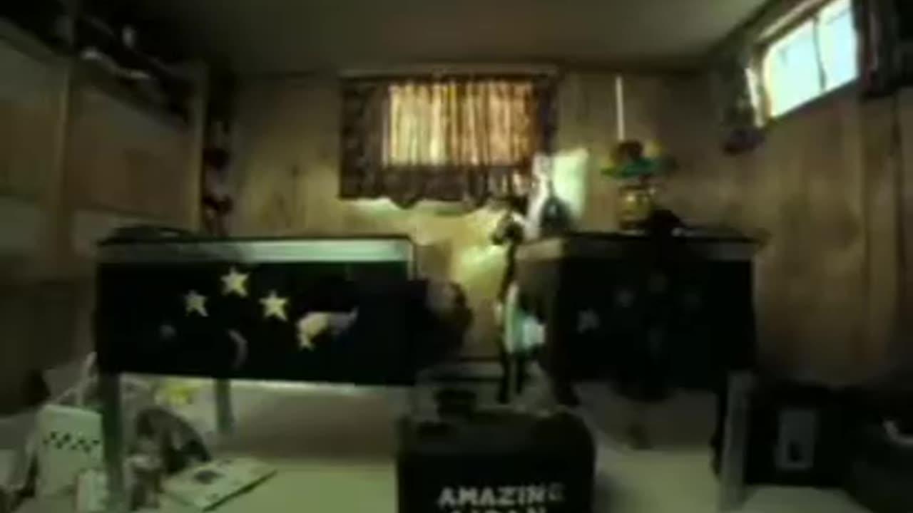 [Classic Meme] MOM, AIDAN CUT ME IN HALF AGAIN - One News Page VIDEO