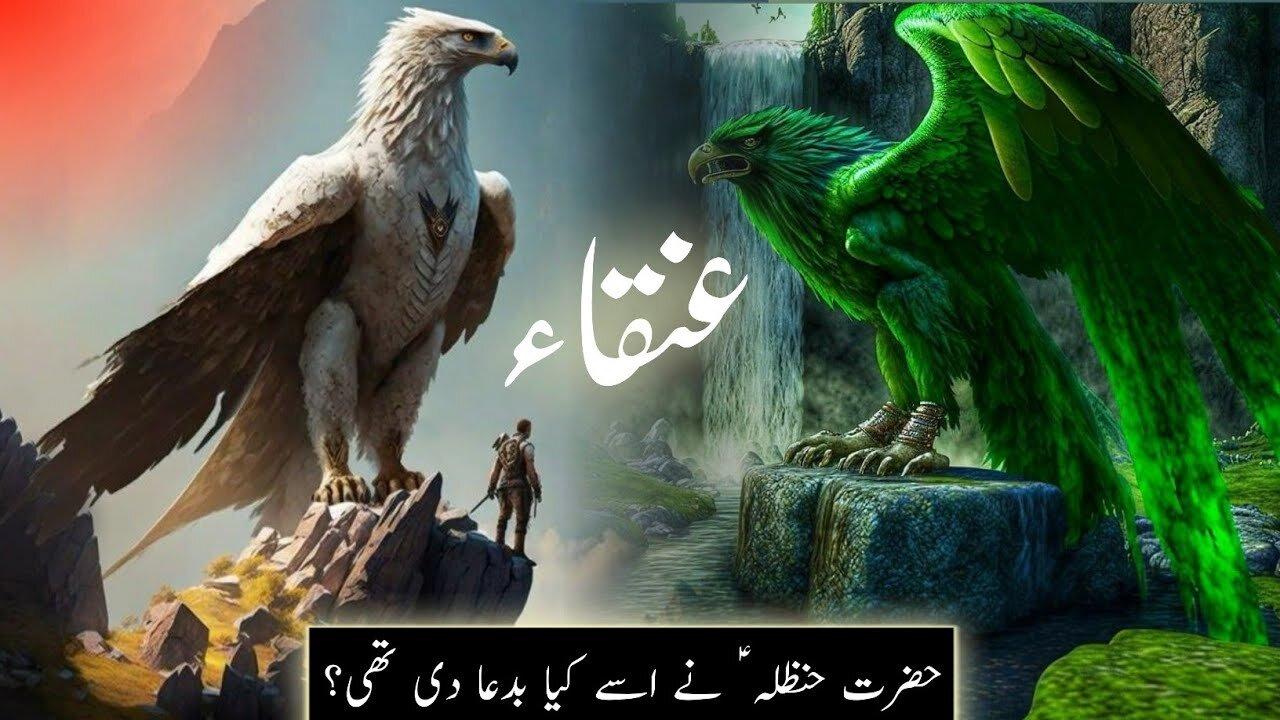 Story of Anqa bird in islam | Griffin bird - One News Page VIDEO