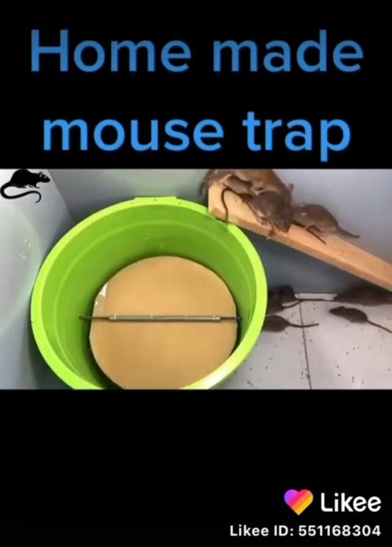 Home made mouth trap - One News Page VIDEO