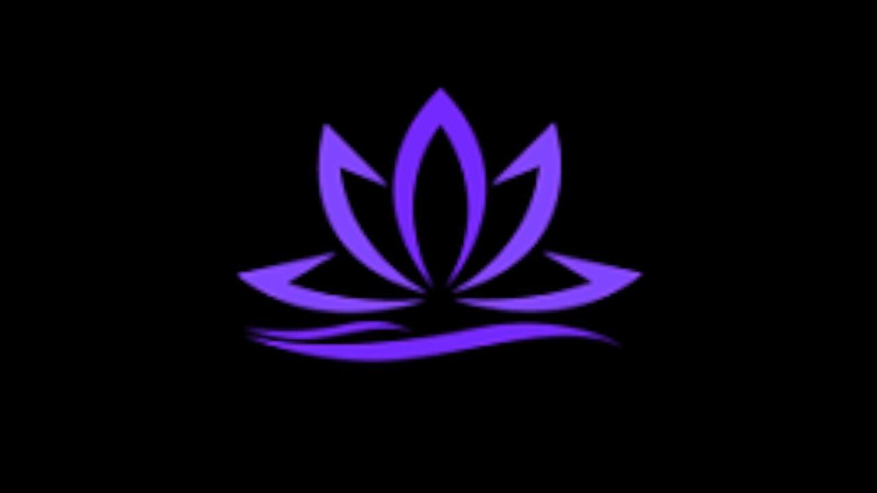 All about Ben's wife Lynlee - One News Page VIDEO