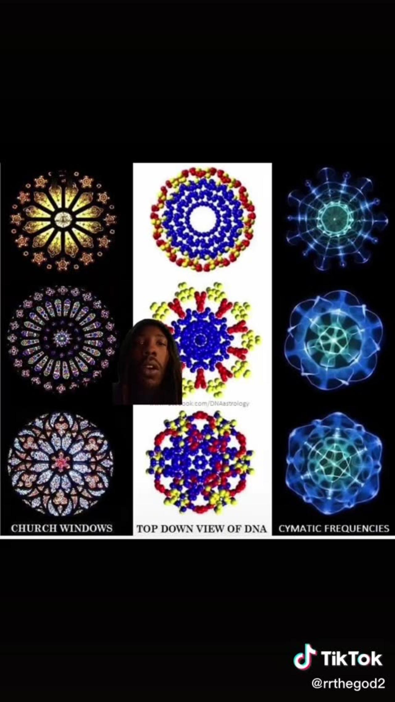 DNA SACRED GEOMETRY - One News Page VIDEO