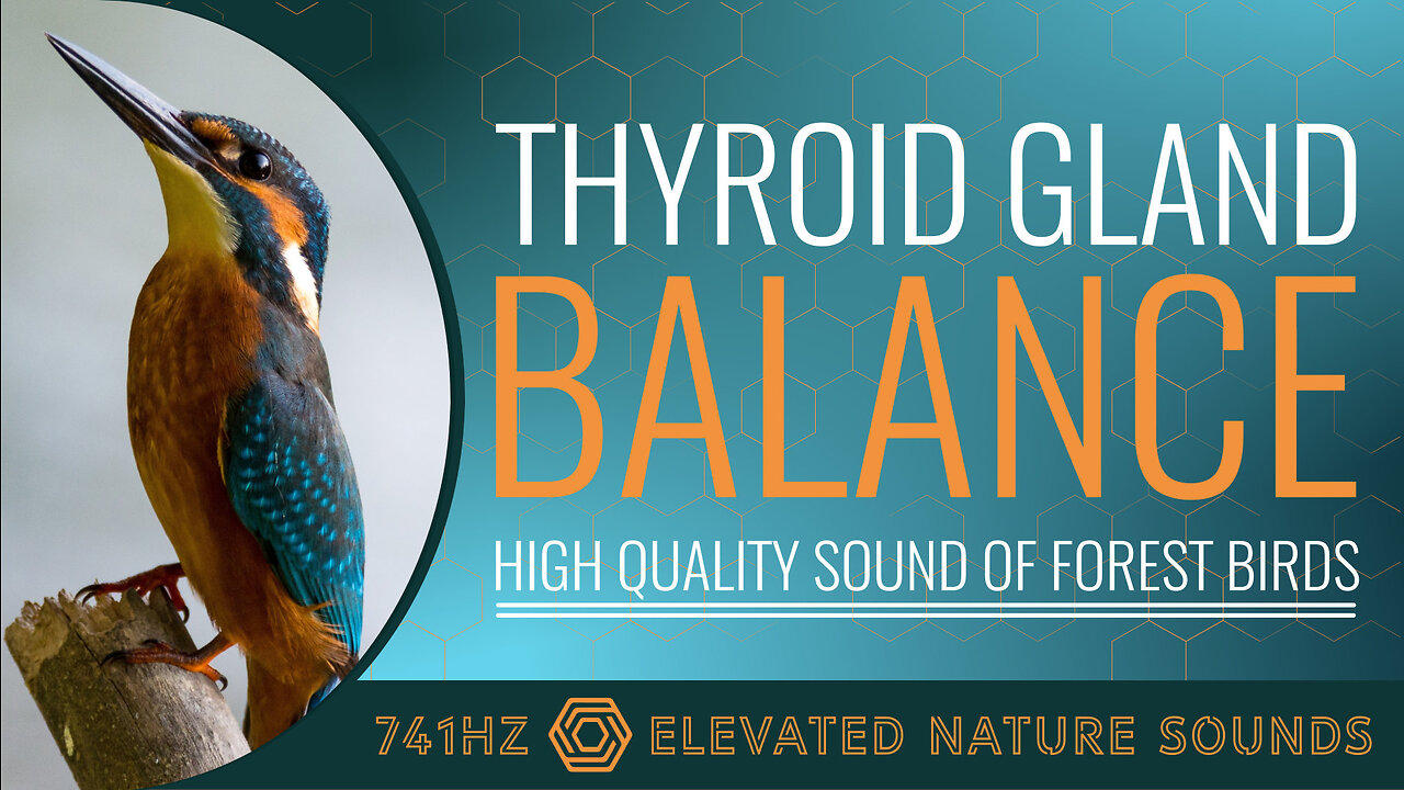 Thyroid Gland Balance 741Hz Elevated HQ Sound of - One News Page VIDEO