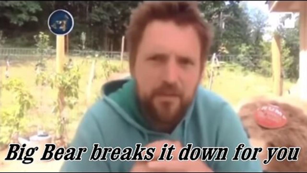 Big Bear Giving You A Wake Up Call One News Page Video