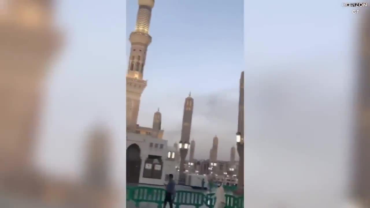 HCNN - DID YOU KNOW? Insect Infestation in - One News Page VIDEO