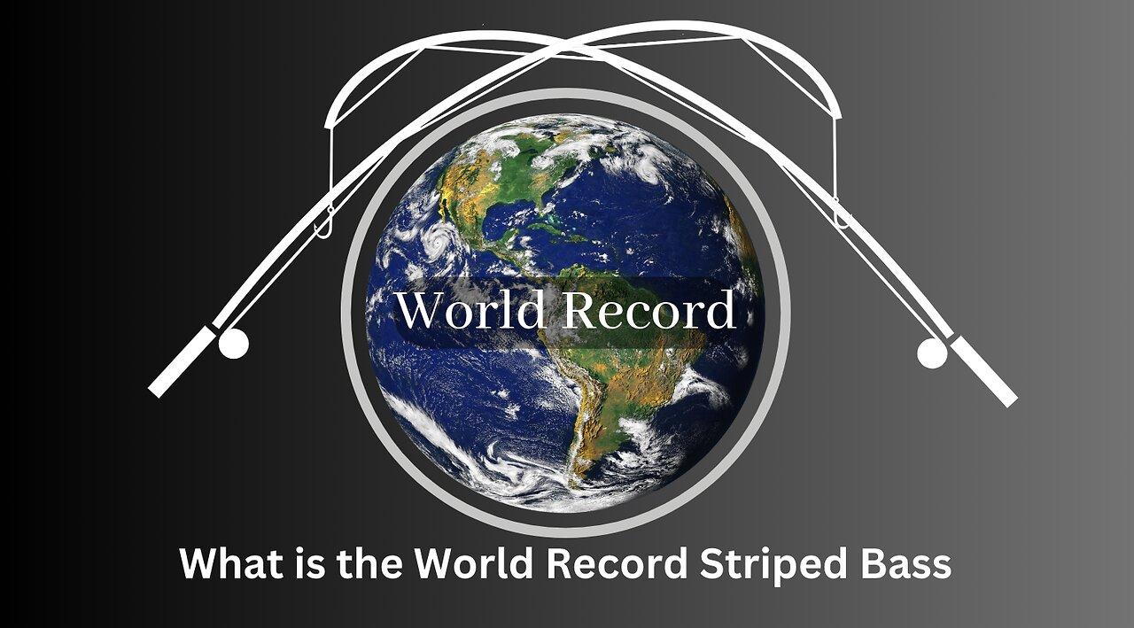 What is the World Record Striped Bass - One News Page VIDEO
