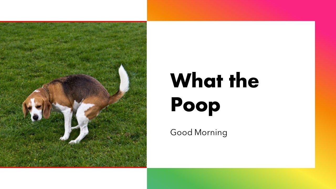 Morning Coffee and What the Poop LOL - One News Page VIDEO