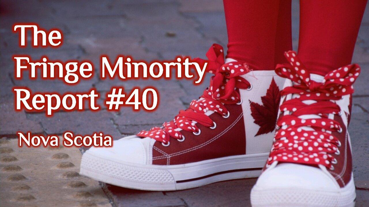 The Fringe Minority Report #40 The National - One News Page VIDEO