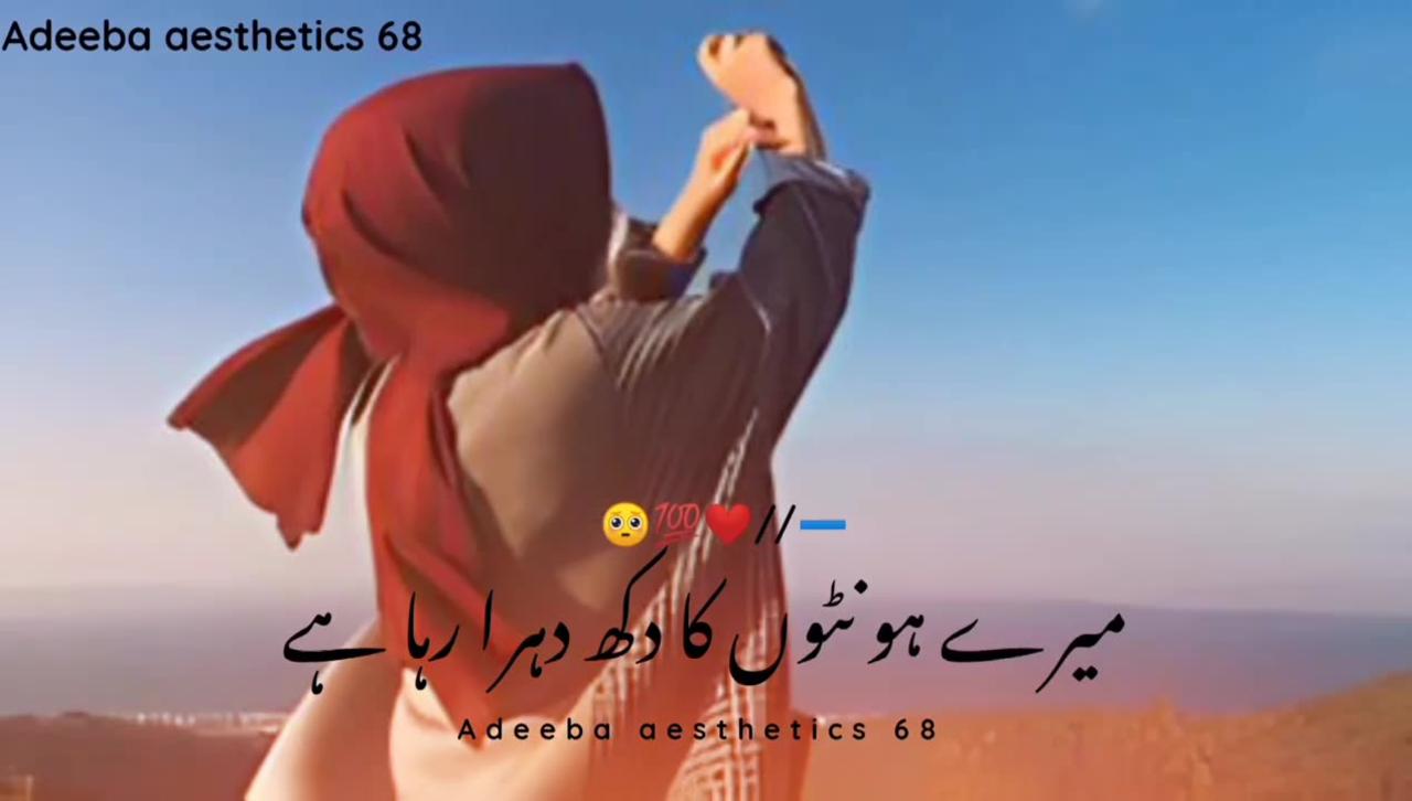 Tehzeeb hafi Urdu poetry - One News Page VIDEO