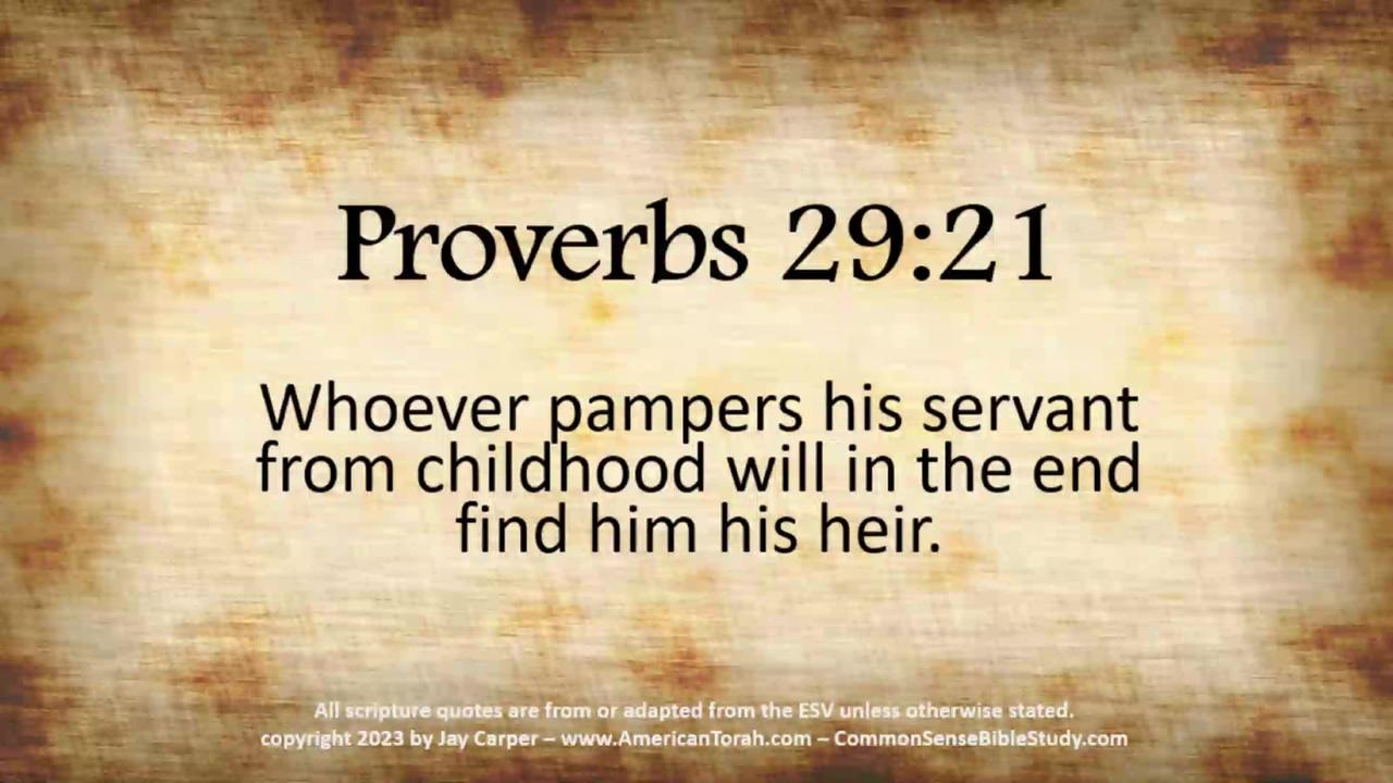 Sons and Servants in Proverbs 29:21 - One News Page VIDEO