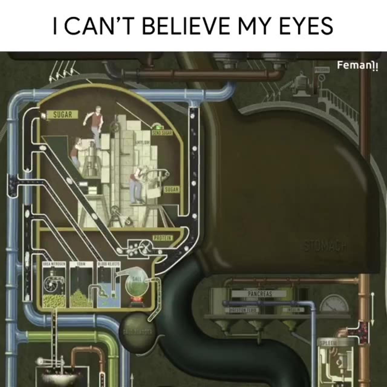 SYSTEM OF HUMAN BODY LIKE MACHINE - One News Page VIDEO