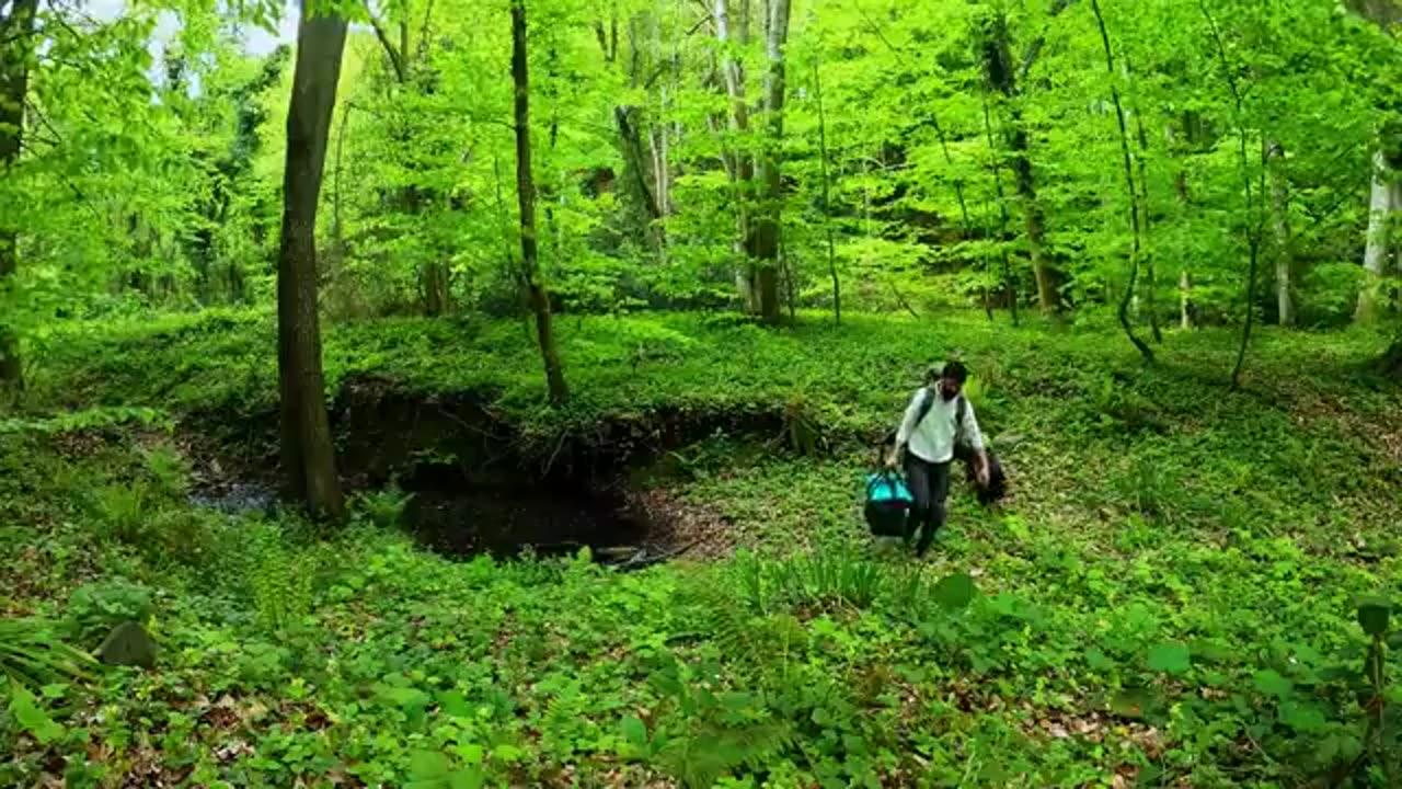 Camping in Rain Forest - One News Page VIDEO