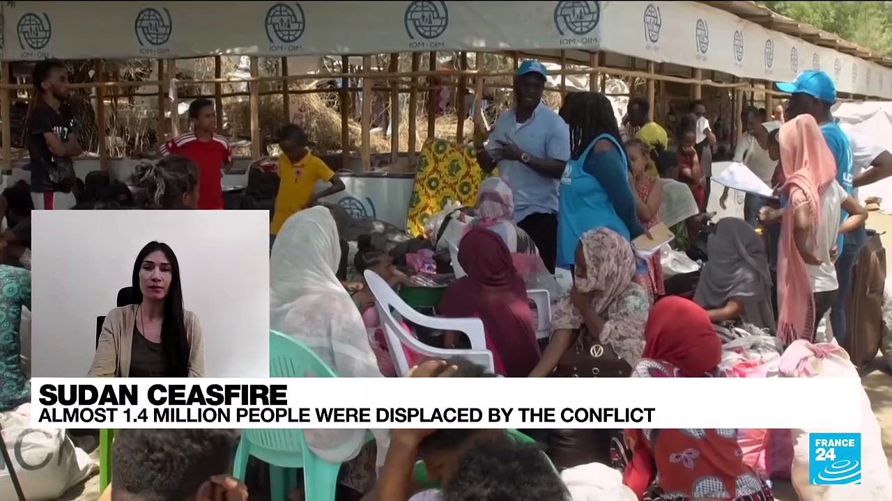 'Catastrophic': Aid trickling in as war-torn - One News Page VIDEO