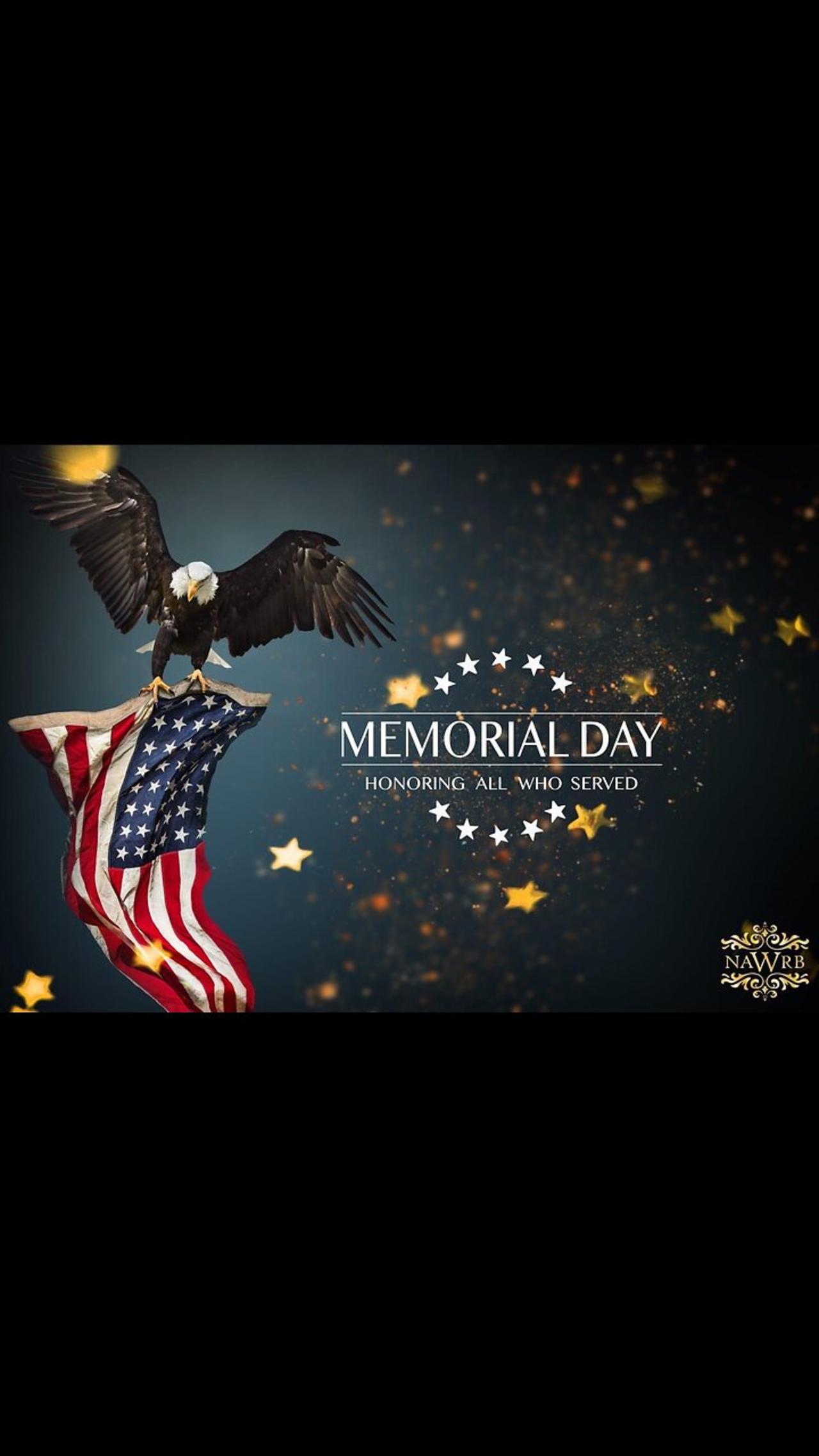 Remember the soldiers who have given their lives - One News Page VIDEO