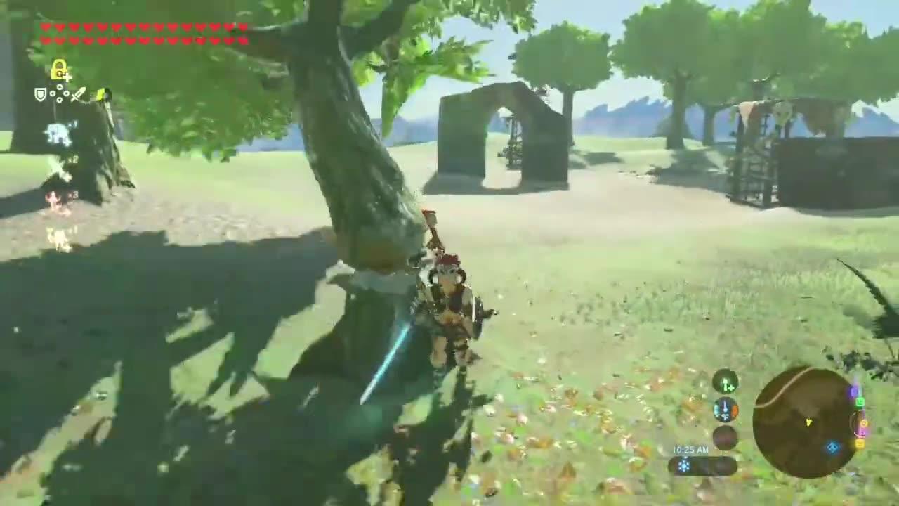 Strange Things I Find in Zelda - One News Page VIDEO