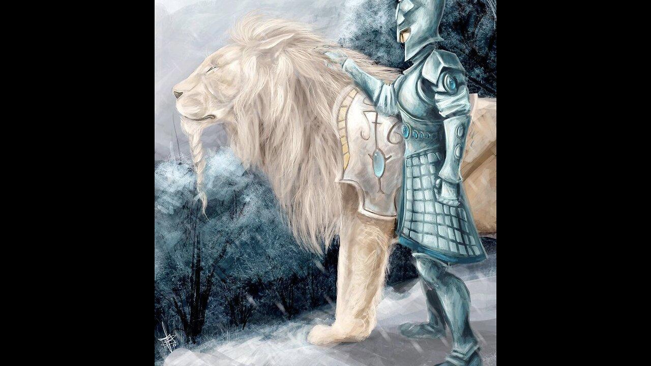 Lion Race Transmission - Align with - One News Page VIDEO