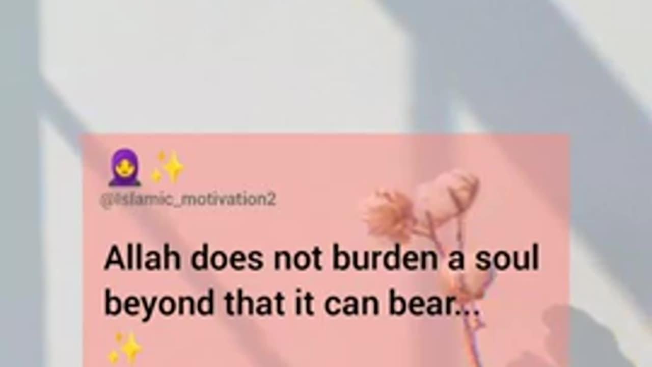 Islamic quotes status video | english quotes - One News Page VIDEO