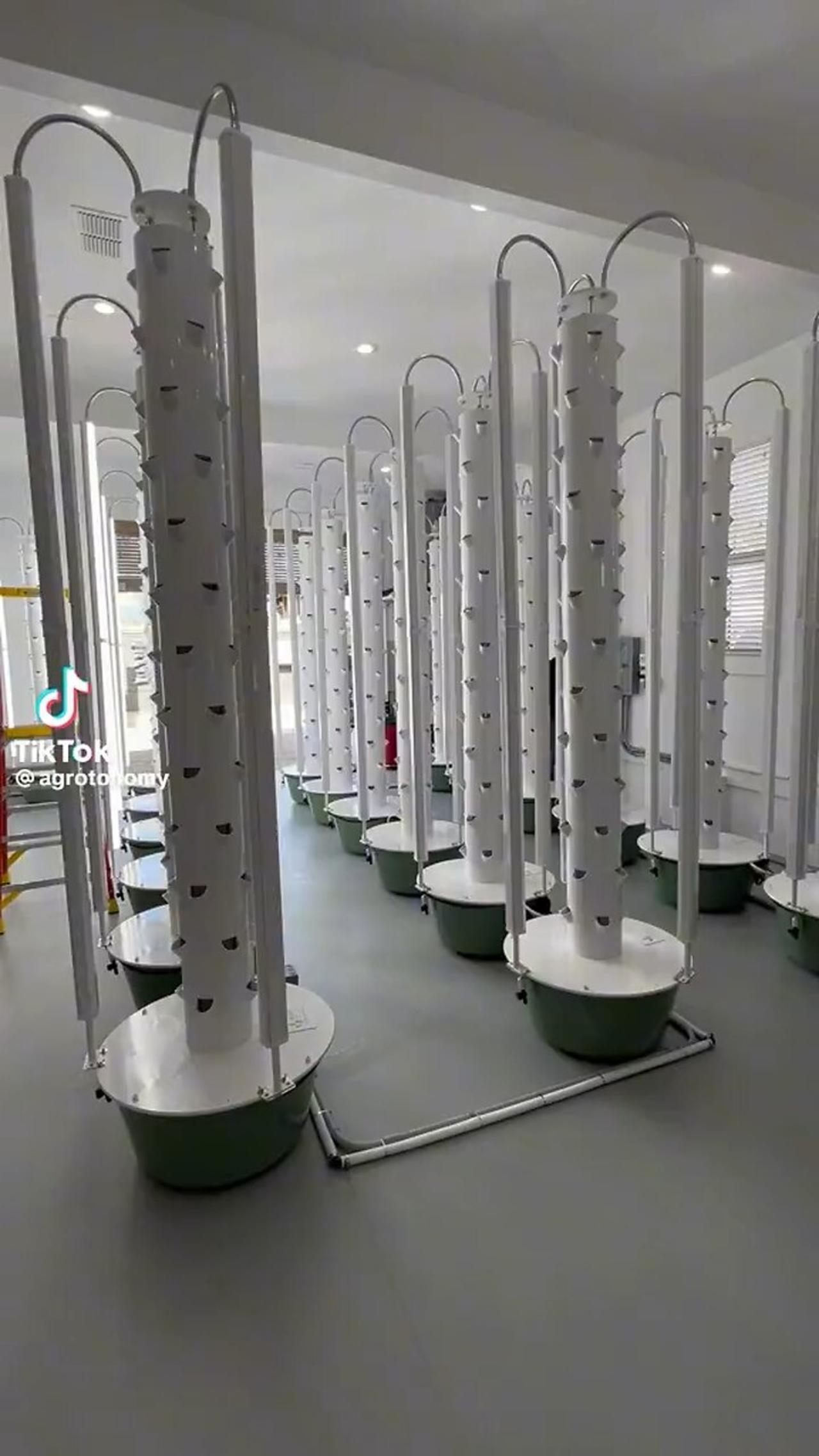 Aeroponic tower plants - One News Page VIDEO