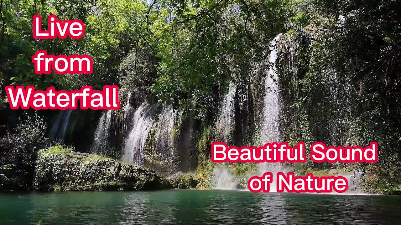 Live From Waterfall Beautiful Sound of Nature - One News Page VIDEO