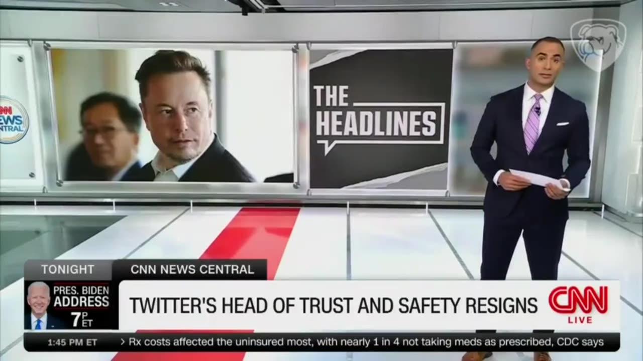 CNN on verge of tears after Matt Walsh's - One News Page VIDEO