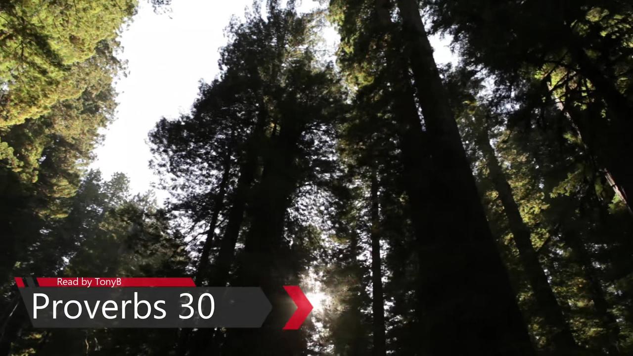 Proverbs 30 - One News Page VIDEO