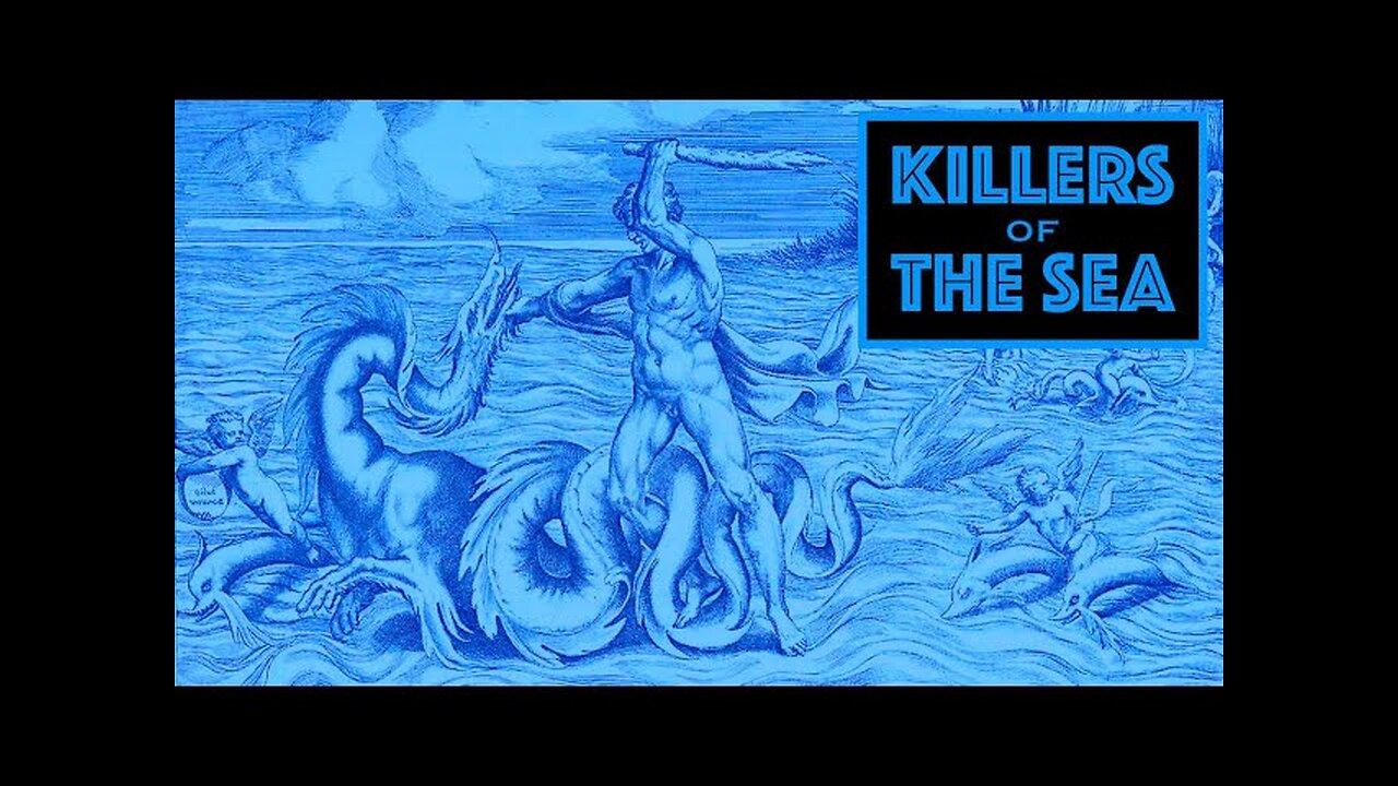 EXTREME "FLORIDA MAN" FIGHTS SEA - One News Page VIDEO