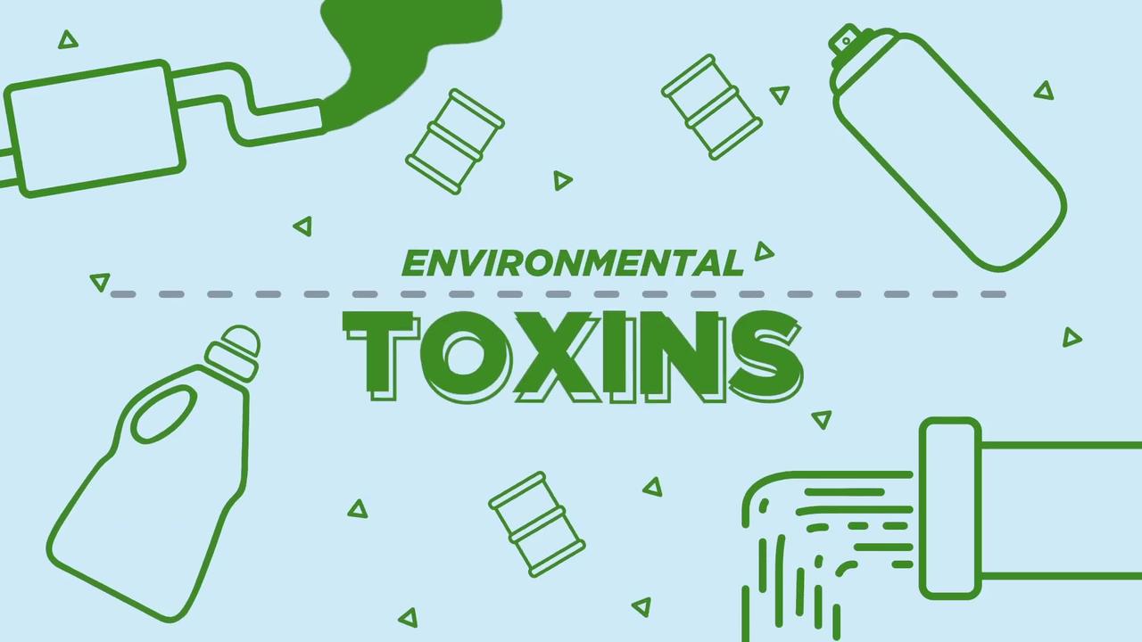 Detox your LIVER with our HEPASIL DTX - One News Page VIDEO