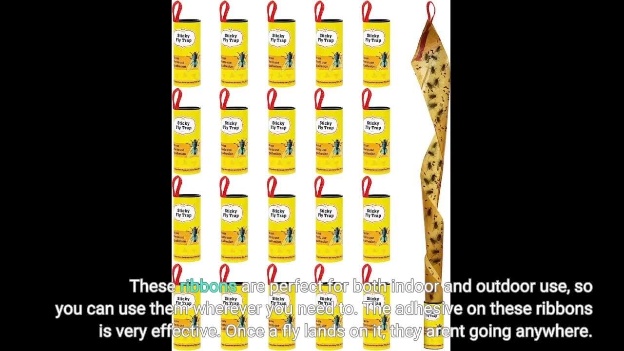 Buyer reviews : Catchmaster Fly Ribbon 20Pk, Bug - One News Page VIDEO