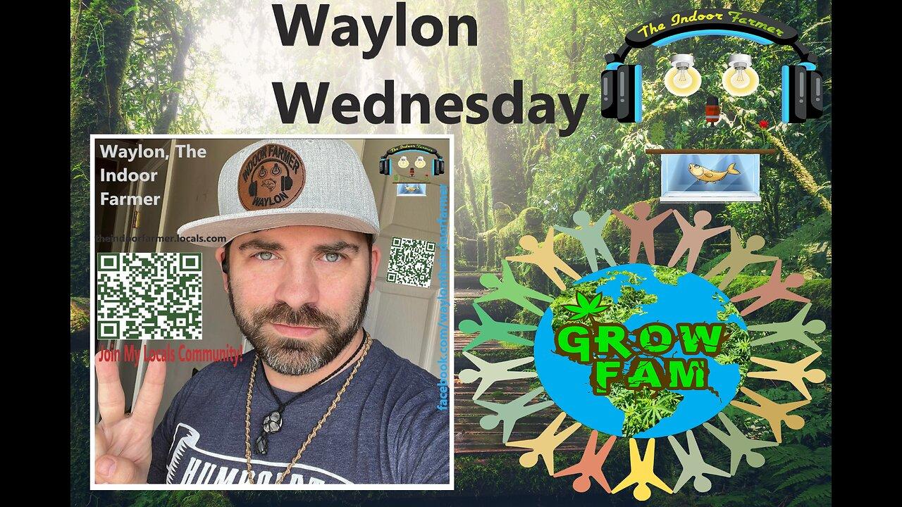 Waylon Wednesday Powered by Grow Fam! 6/7/23 - One News Page VIDEO