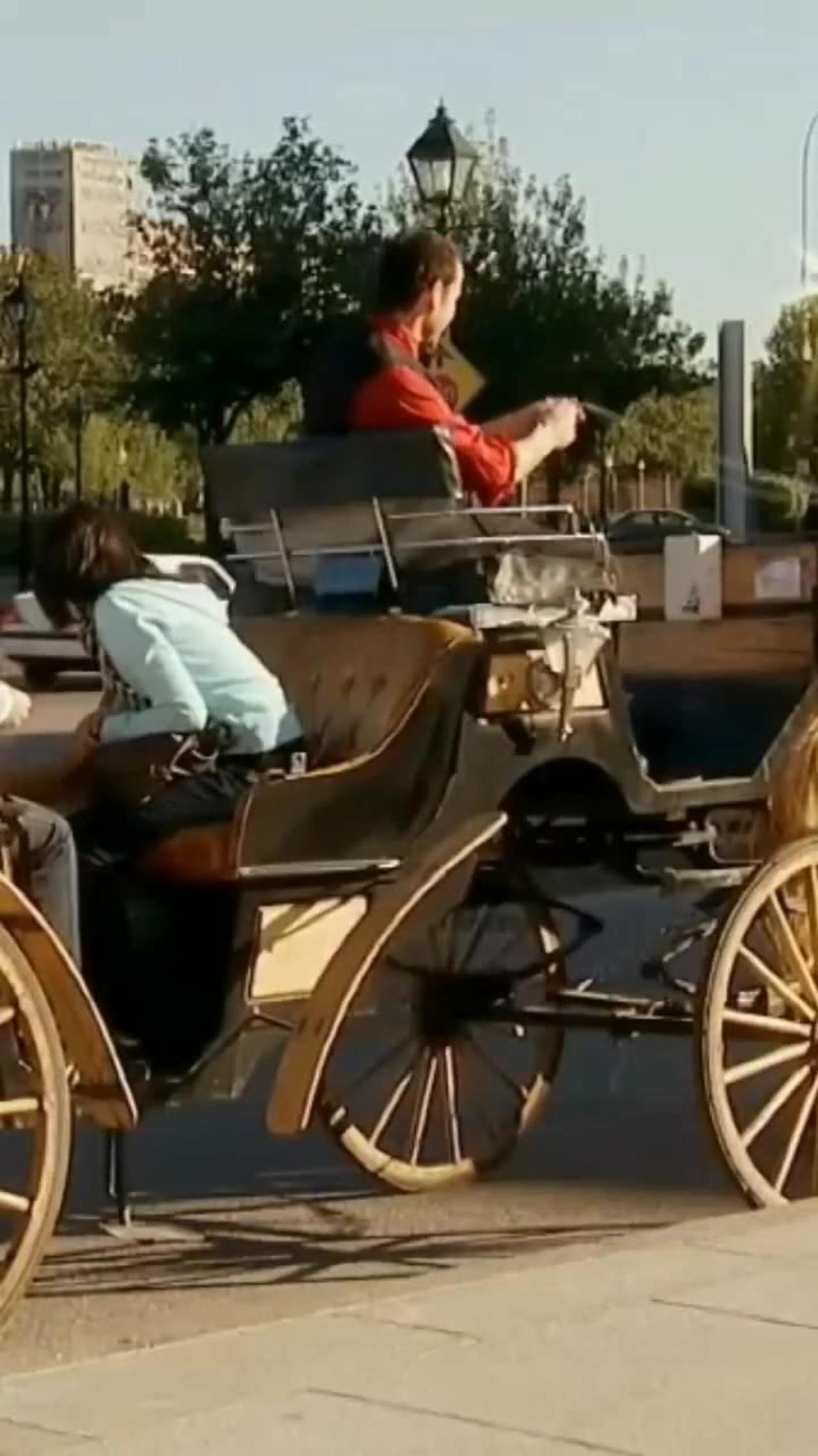 Horse ride prank #funny #video - One News Page VIDEO