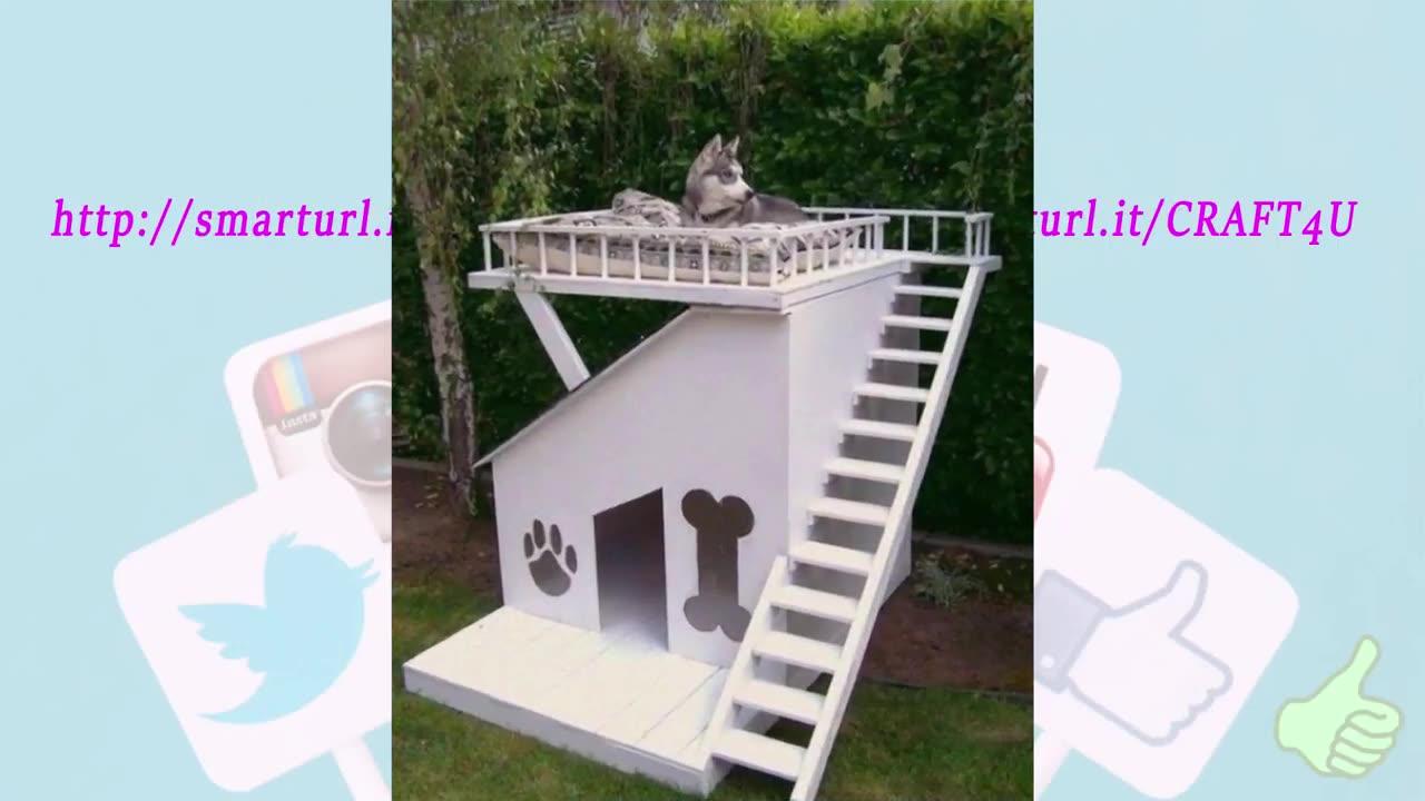 Plans for building a large dog house - One News Page VIDEO