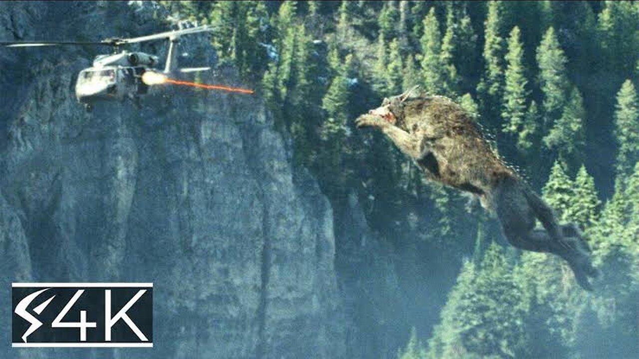 Giant Wolf Attack Scene - Wolf vs Helicopter - - One News Page VIDEO