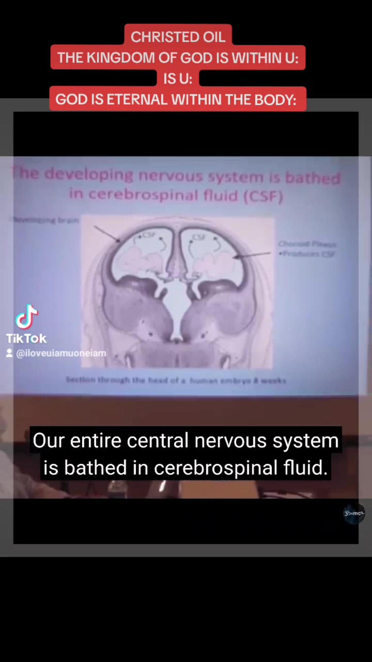 WHERE THE CHRISTED OIL IS MADE: THE LAND OF MILK - One News Page VIDEO